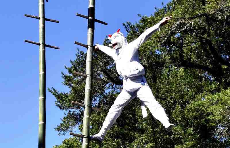 Nagasaki: ‘Foxes’ impress crowd with acrobatic feats - The Japan News