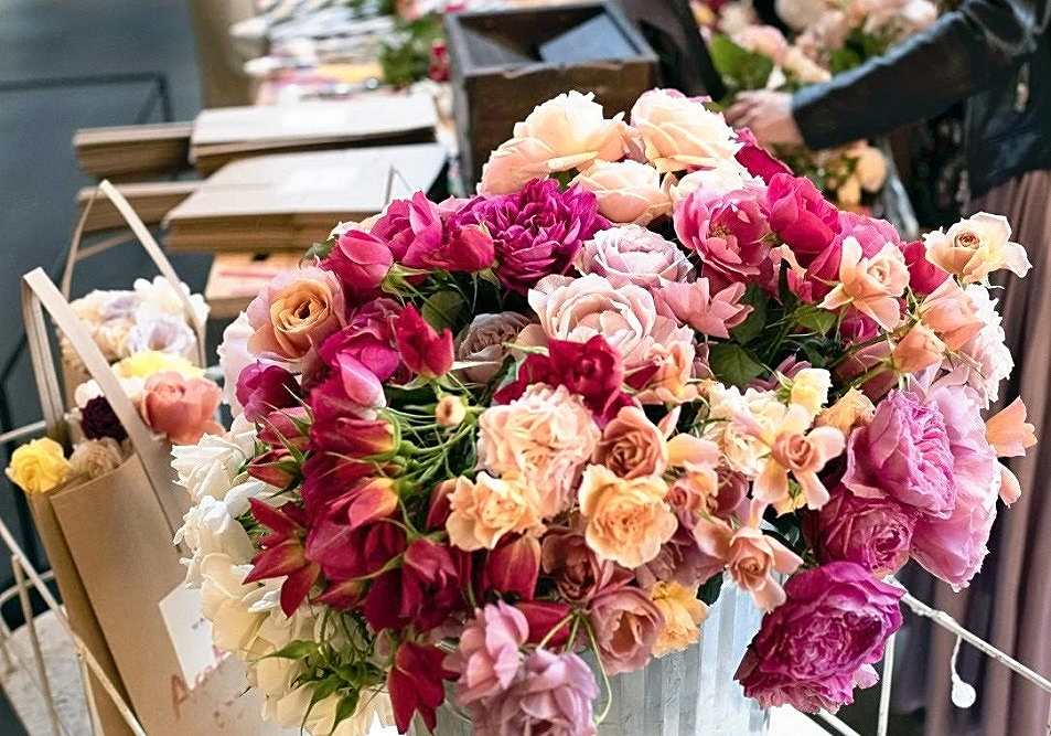 Japanese Roses Offer Delicate Beauty with Soft Colors - The Japan News