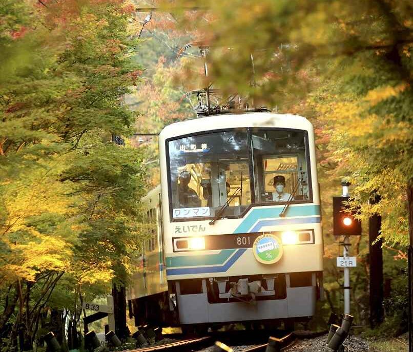 Kyoto Train Offers Passengers Journey Wrapped in Autumn Colors via ...