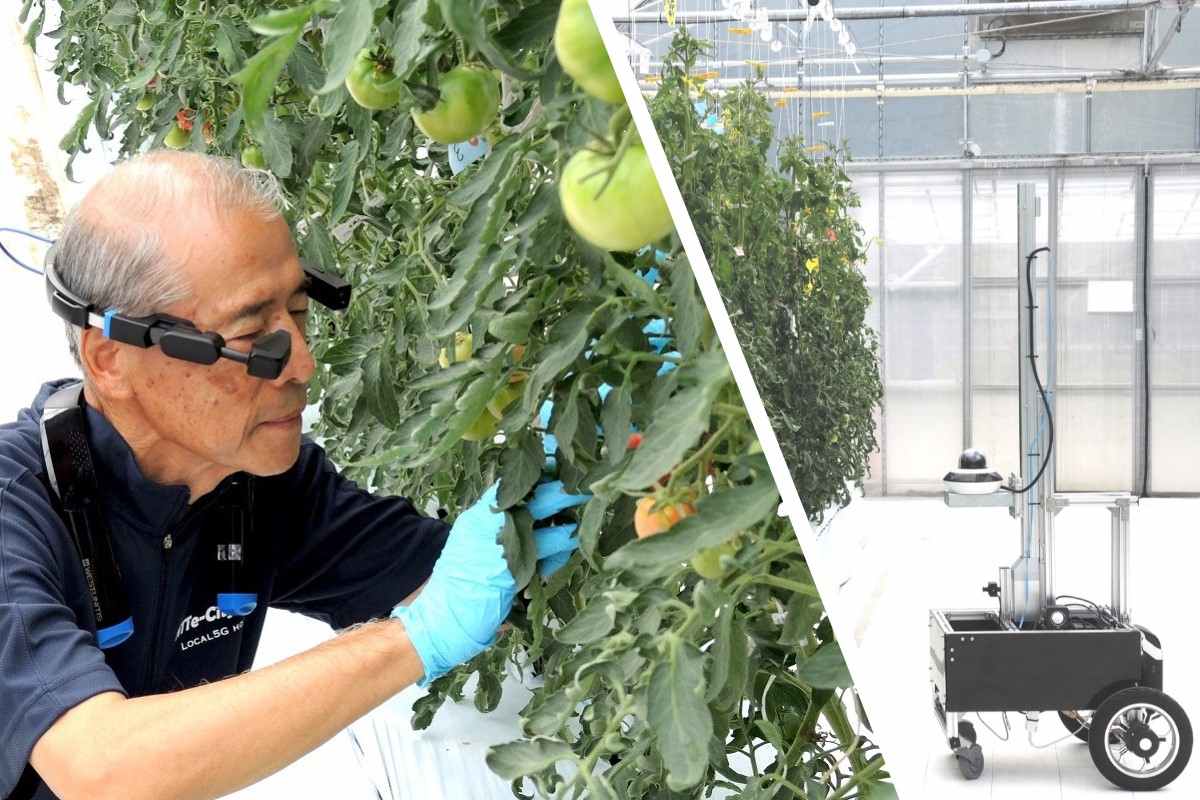 Digital Technology Revolutionizing Urban Farming in Tokyo - The Japan News