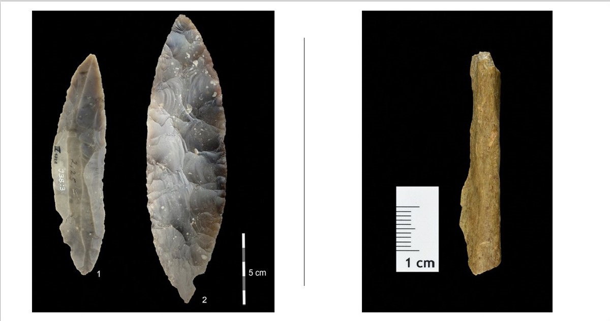 Bones from German Cave Rewrite Early History of Homo Sapiens - The ...
