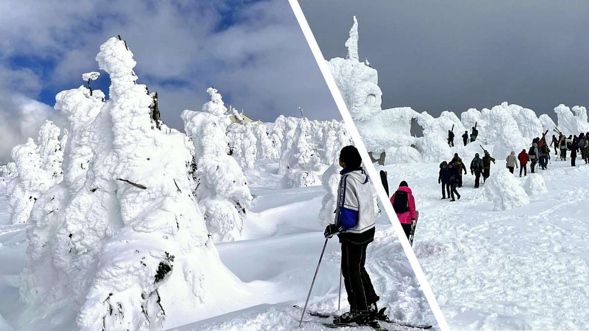 Giant Snow Monsters Appear in Hakkoda Mountains; Tourists Flock to Area ...