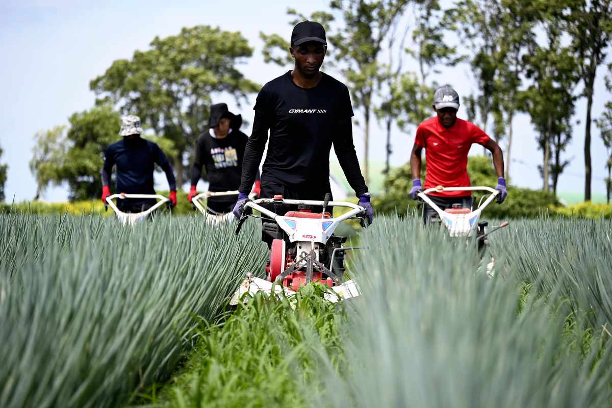 Madagascar workers1 - The Japan News